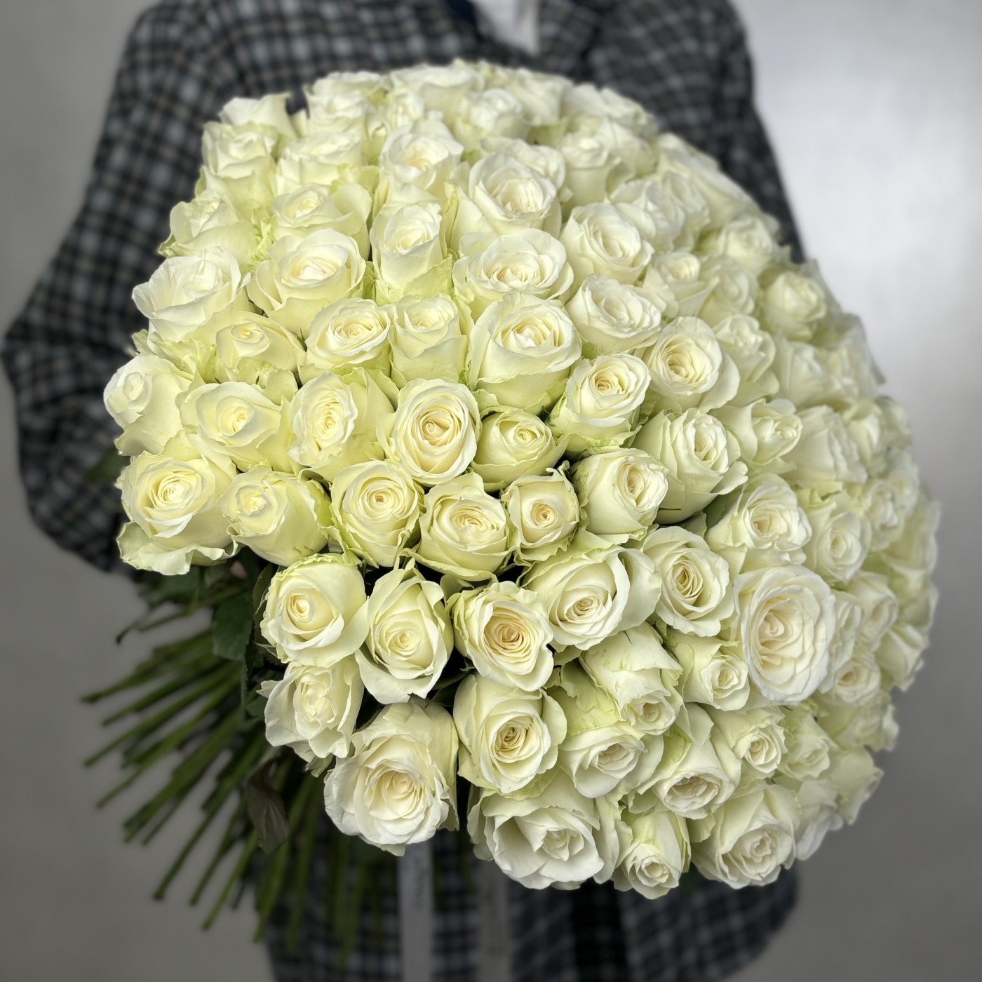 101 белая роза 50 см | доставка по Москве и области