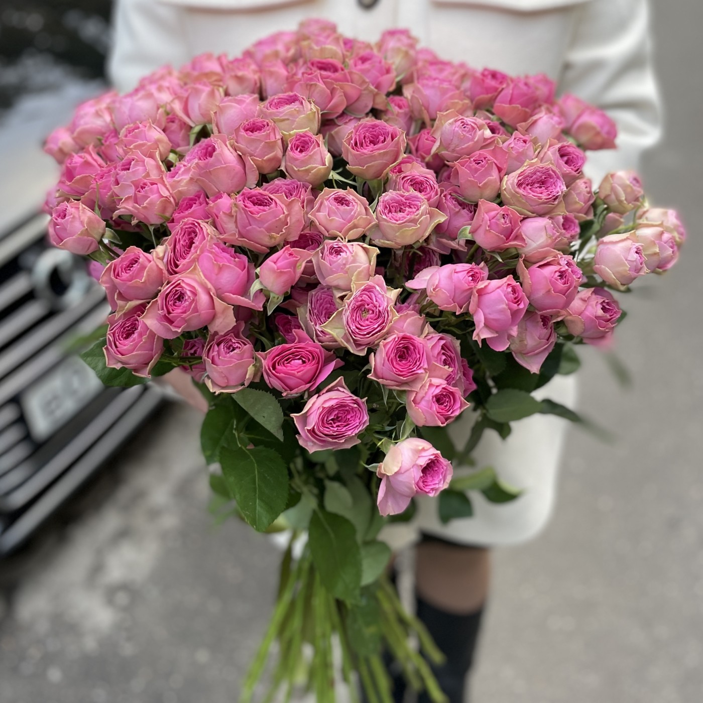 Кустовая пионовидная роза Пинк Бижу (Pink Bijoux) розового цвета ...