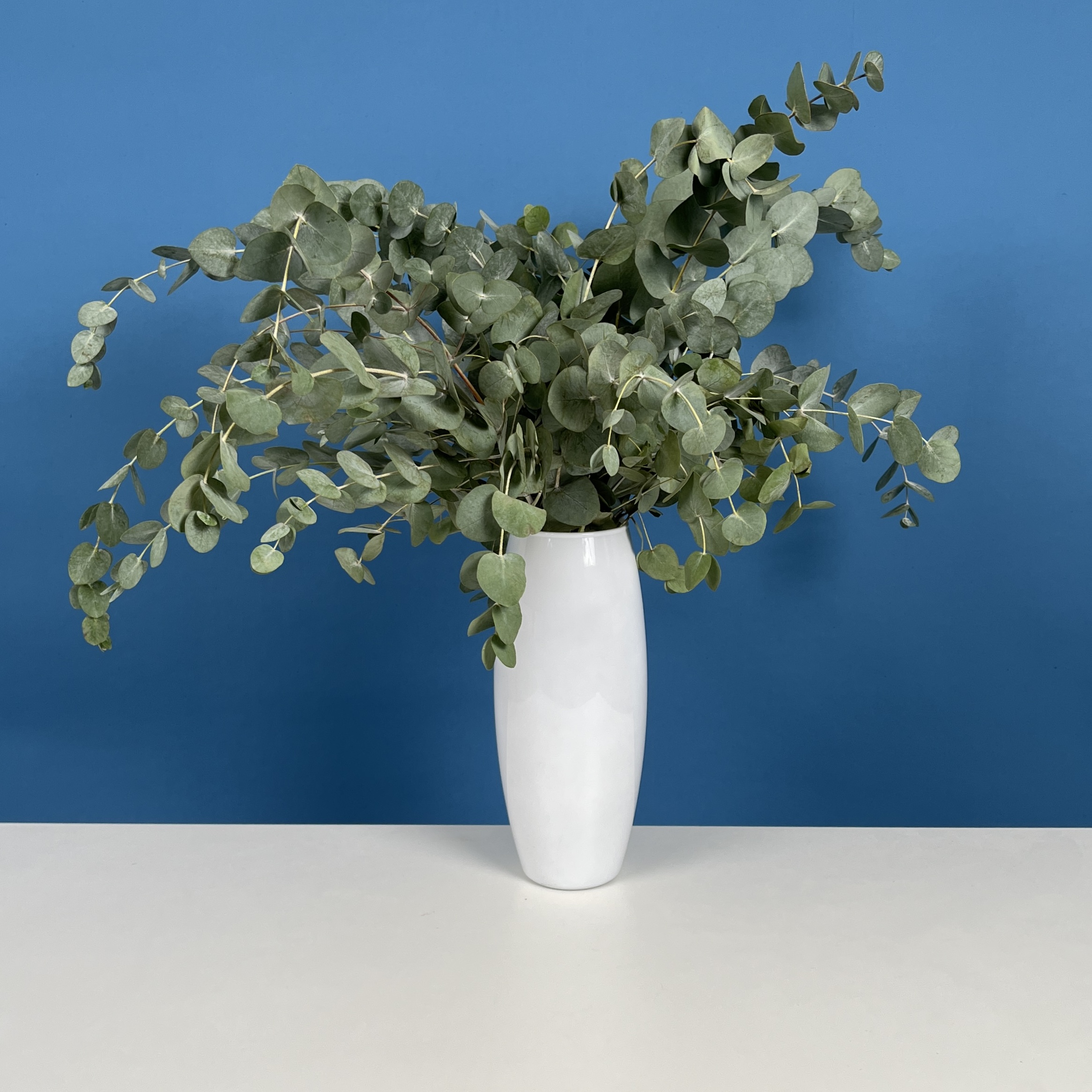 11 веток ароматного эвкалипта в вазе купить недорого | доставка по ...